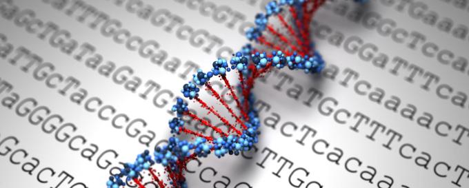 12 کانال DNA RNA Synthesizer انتخاب برای توالی DNA و PCR دسته بندی Thio ...